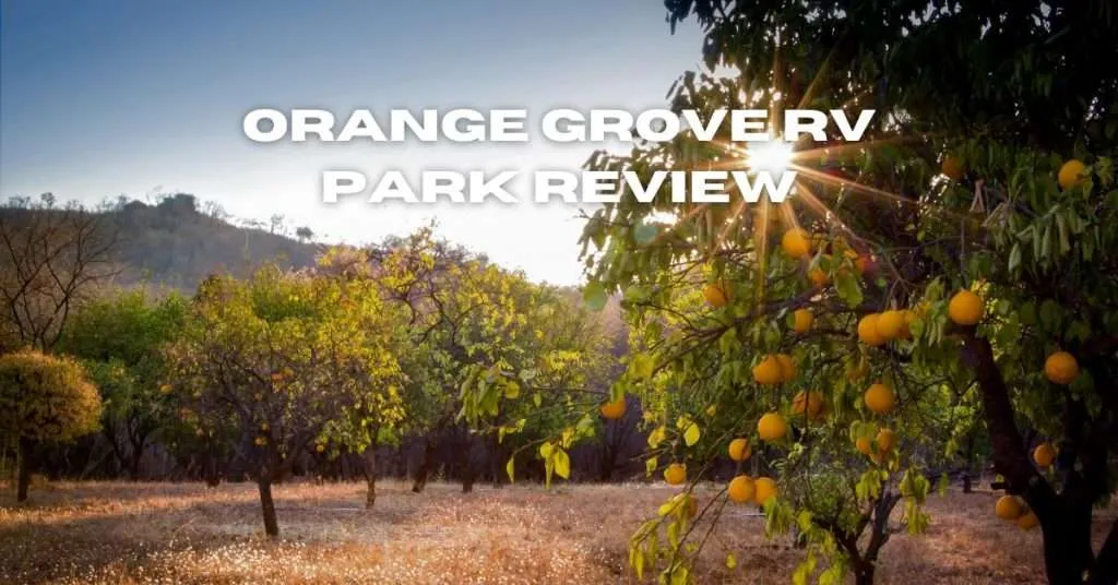 Orange Grove RV Park Review: 15 Campground Pros And Cons 2025 | Agile ...