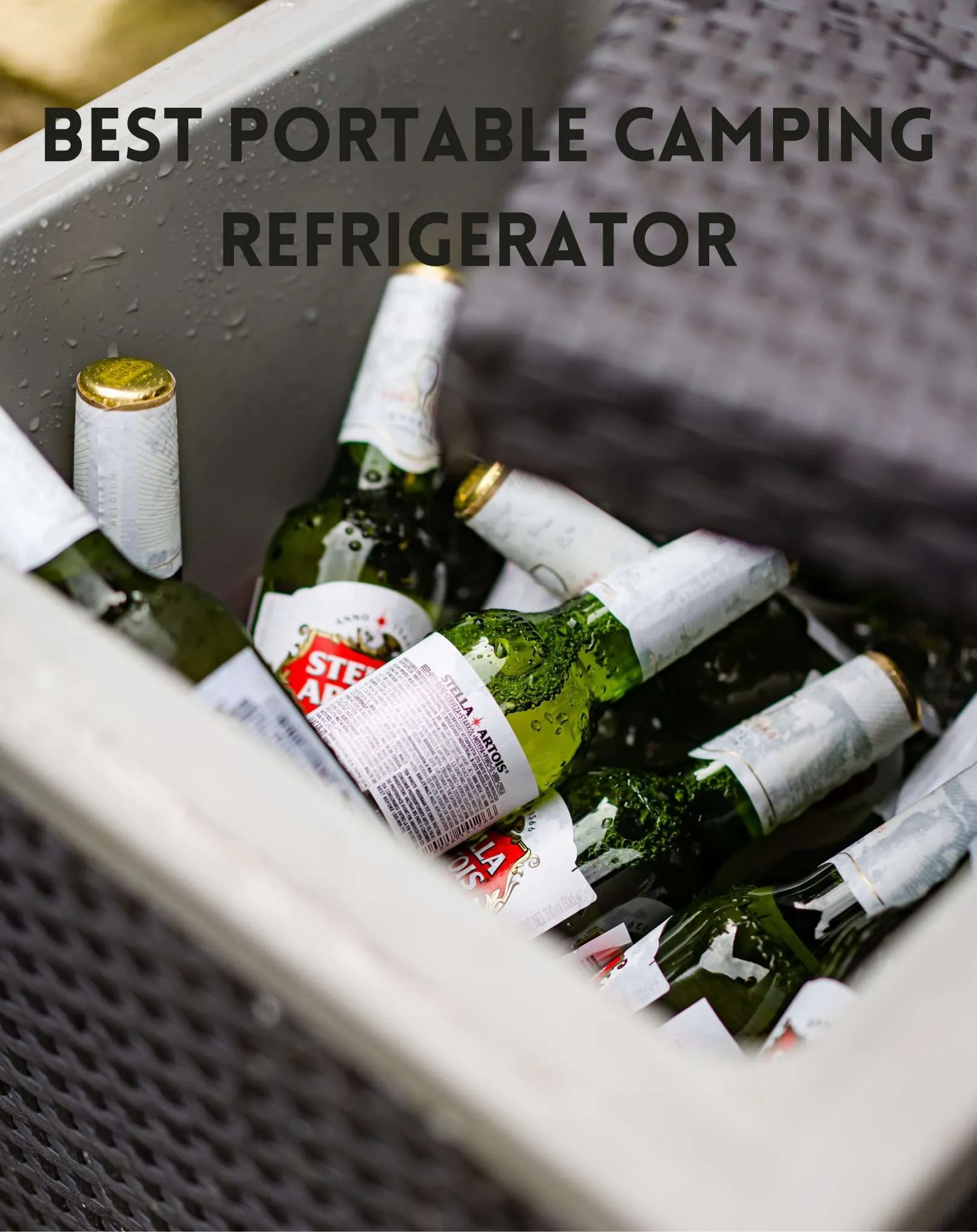 Best Portable Camping Refrigerator 2025 [Expert Reviewed] 2025 | Agile ...